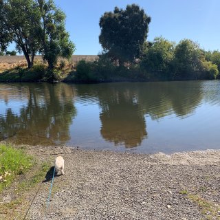 Turtle Beach RV Resort - Manteca, California - RV LIFE Campground Reviews